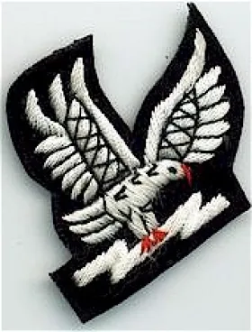 Badges earned in the Indian Airforce