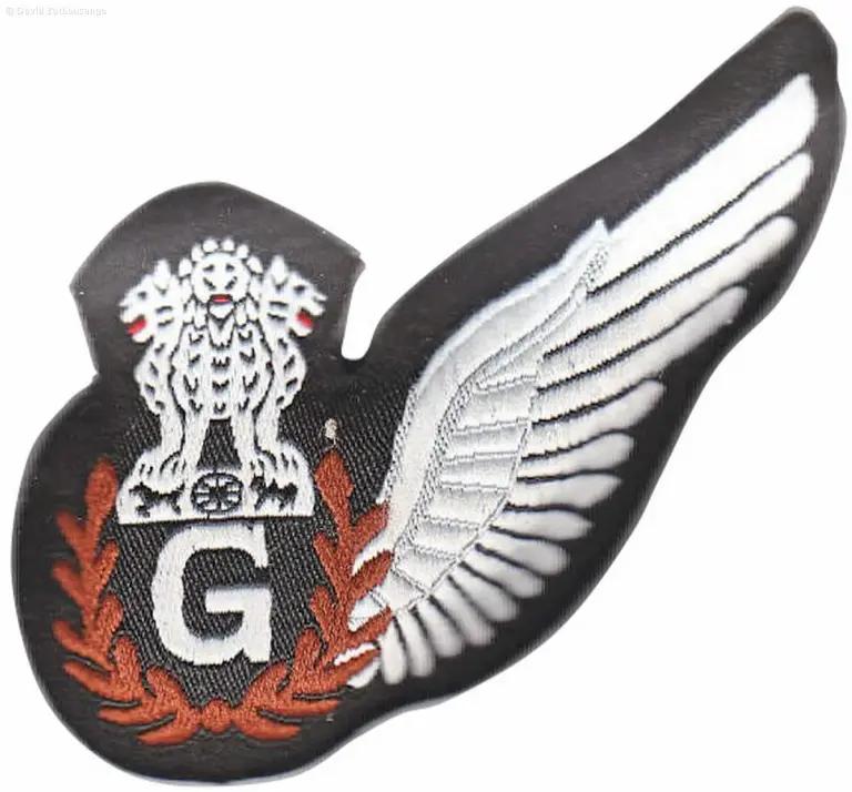 Badges earned in the Indian Airforce