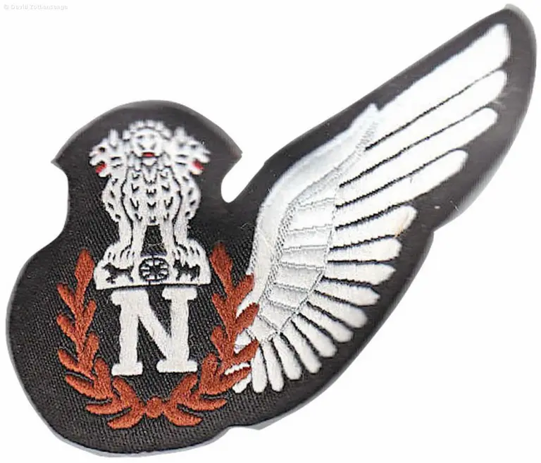 Badges earned in the Indian Airforce
