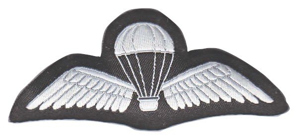 Badges earned in the Indian Airforce