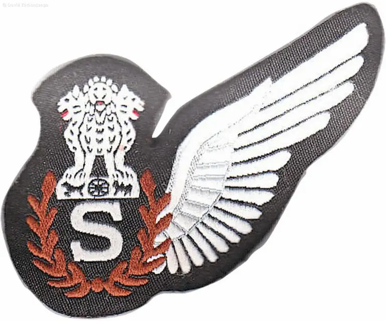 Badges earned in the Indian Airforce